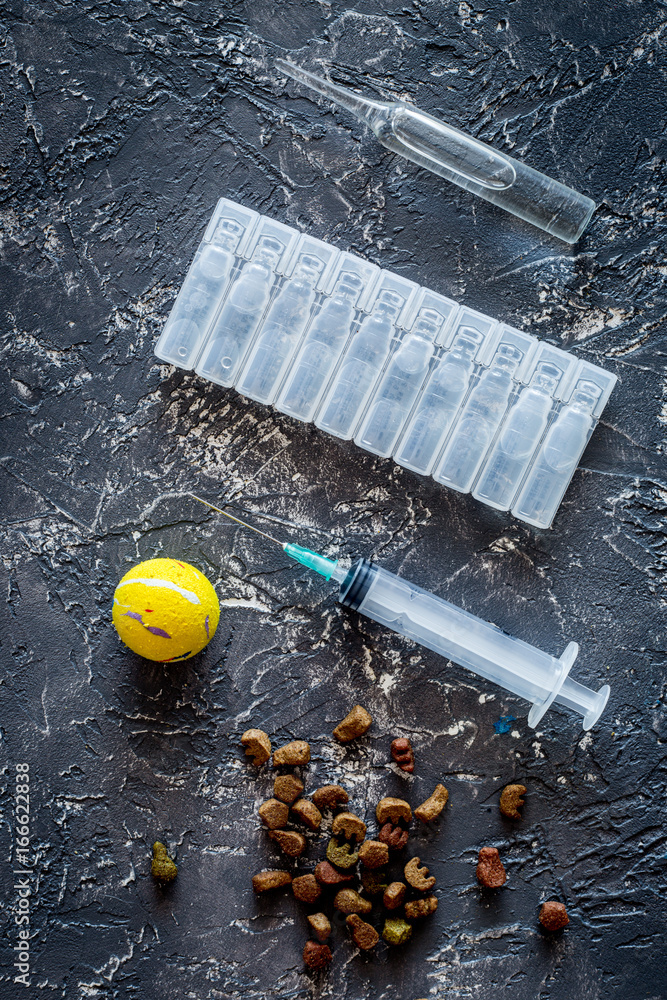 Pet cure concept. Ampoule, syringe and animal feed on grey stone ...