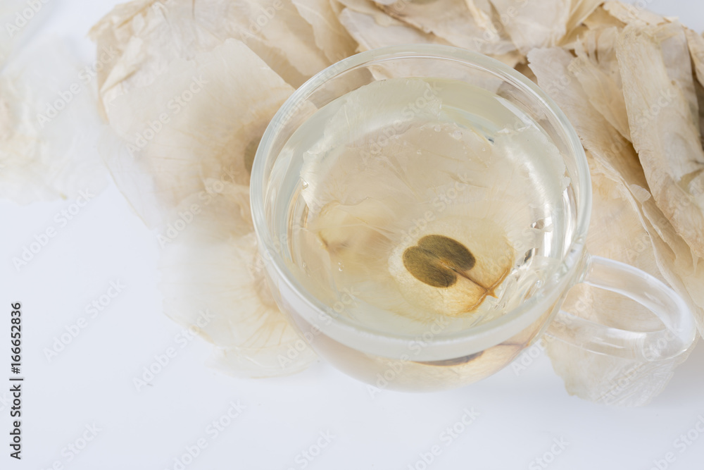 Fotka „The Oroxylum indicum seed is used in the traditional Indian and ...