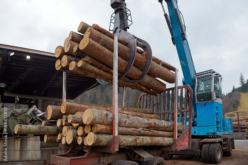 Blue log loader machine is carrying and loading a pile of wood timber ...