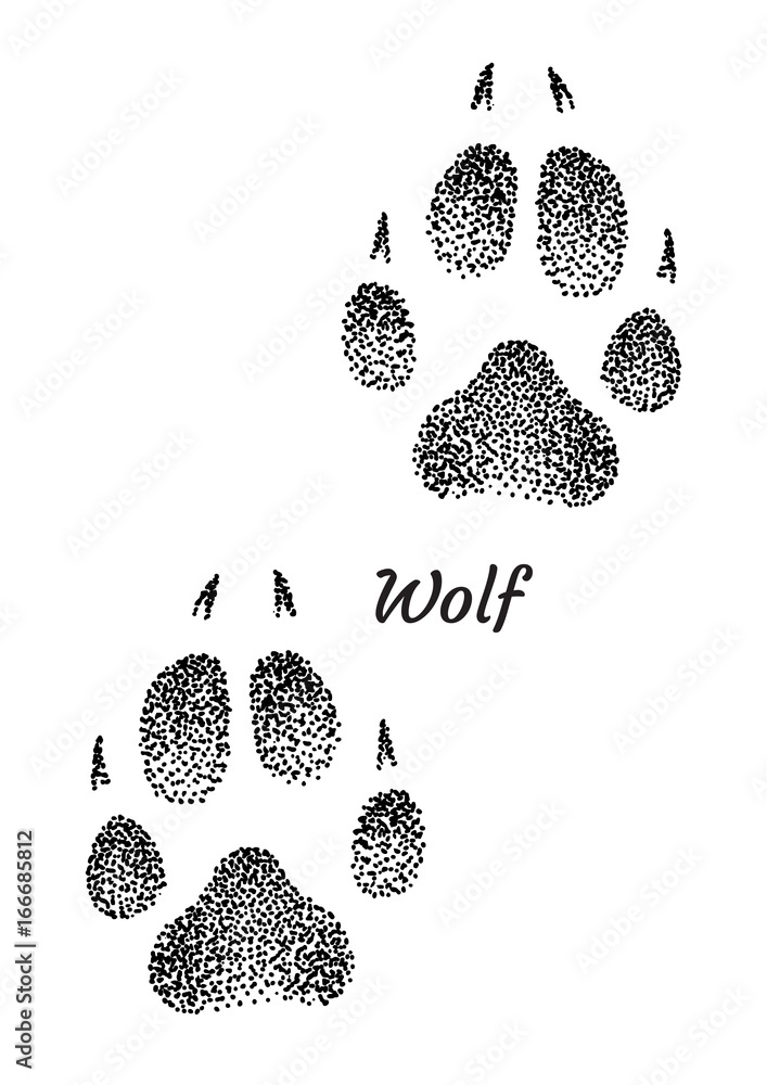 Wolf footprint illustration, drawing, engraving, ink, line art, vector ...