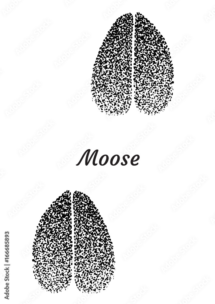 Moose footprint illustration, drawing, engraving, ink, line art, vector ...
