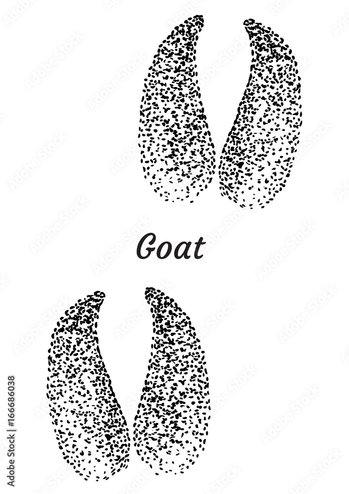 Goat footprint illustration, drawing, engraving, ink, line art, vector ...