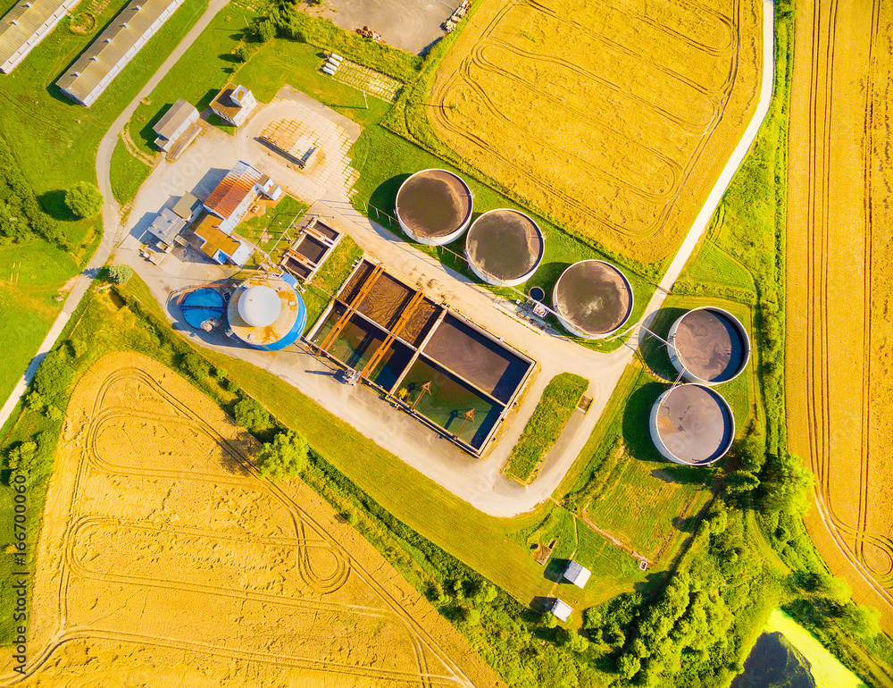Aerial view to biogas plant from pig farm in ripe wheat fields. Renewable energy from biomass ...