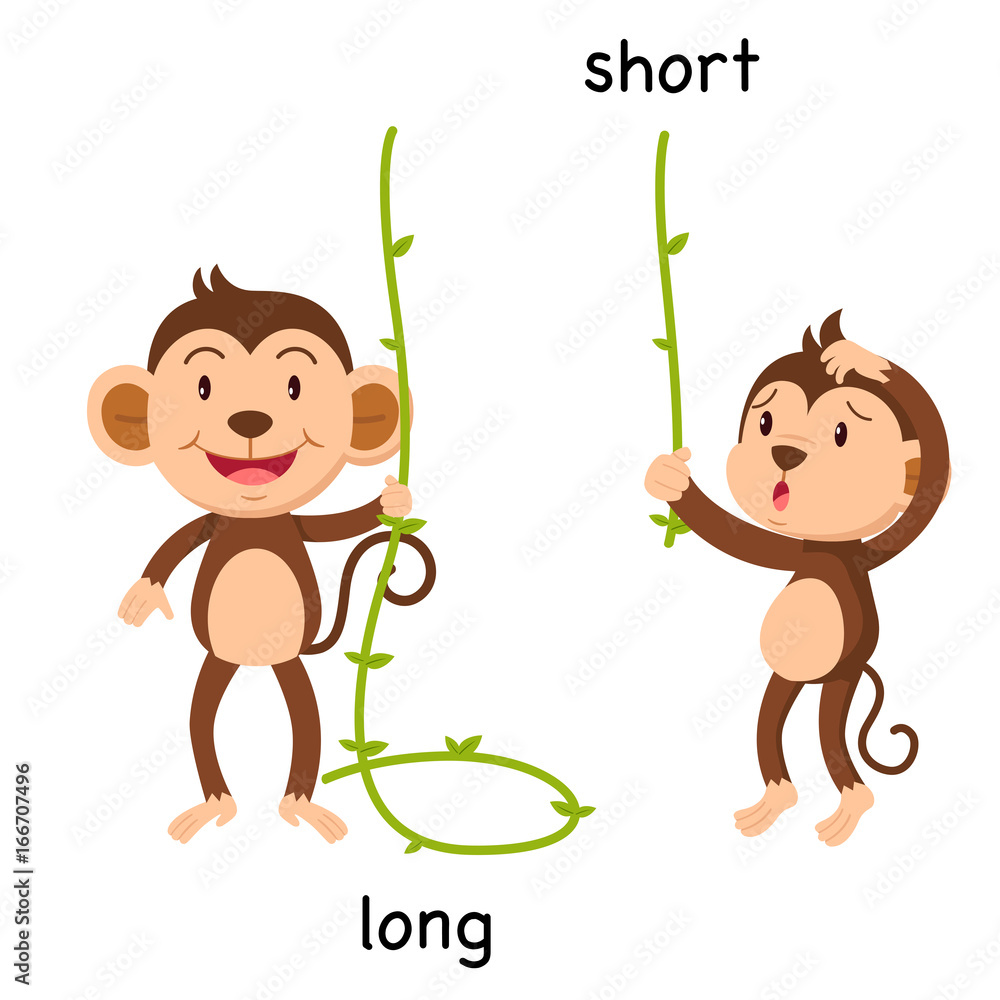Opposite long and short illustration Stock Vector | Adobe Stock