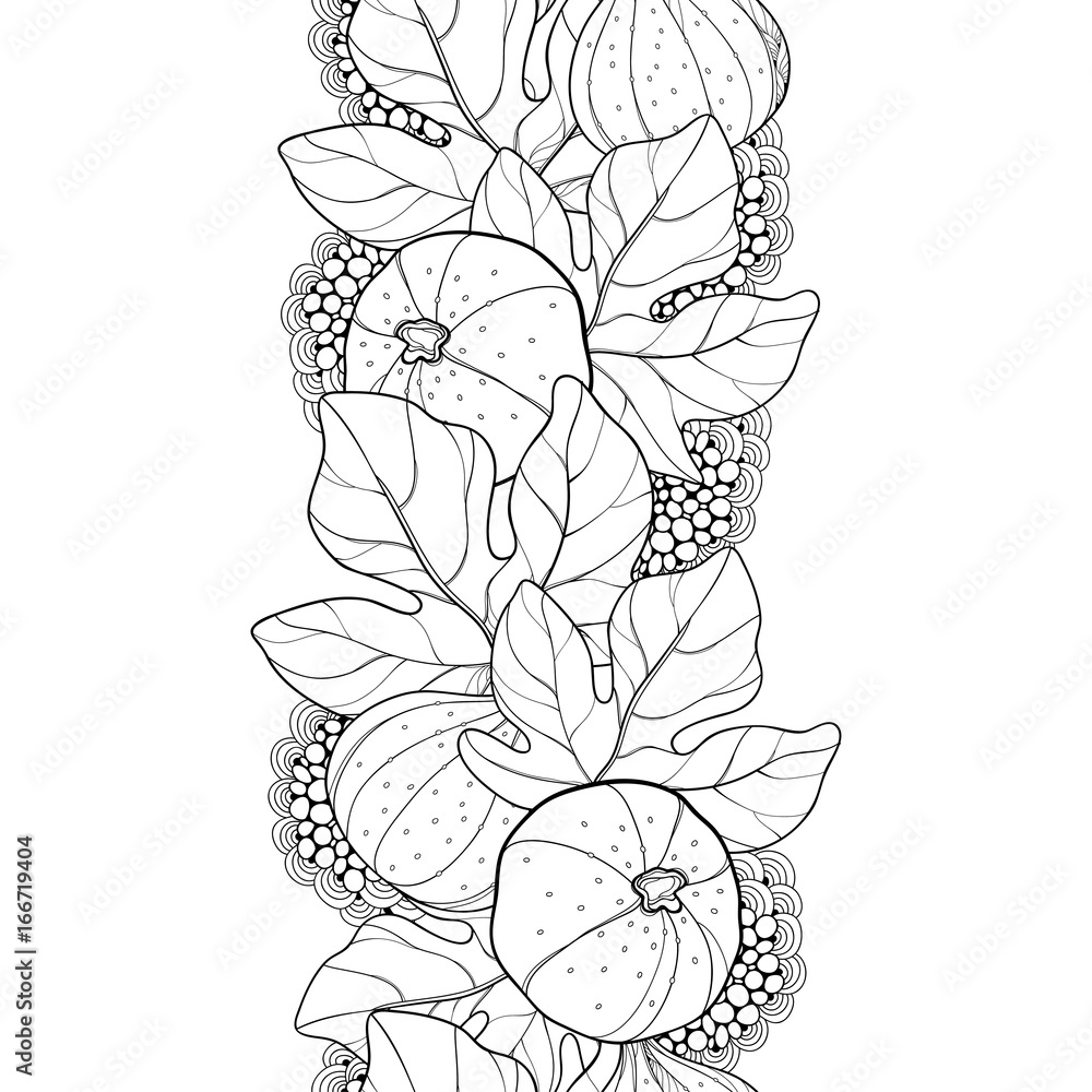 Vector seamless pattern with outline Common Fig or Ficus carica fruit ...