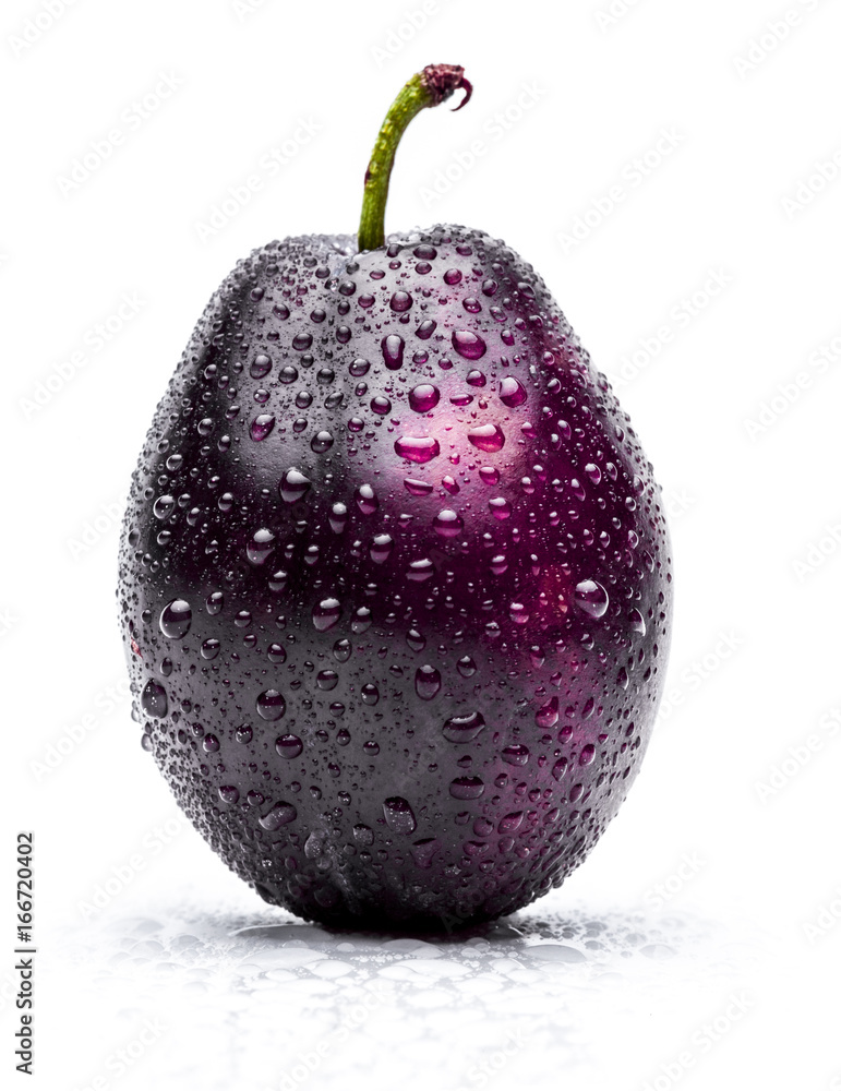 Zwetschge Stock-Foto | Adobe Stock