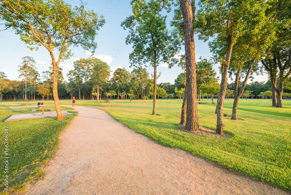 Urban park in Texas, US, huge pine trees, trails illuminated by ...