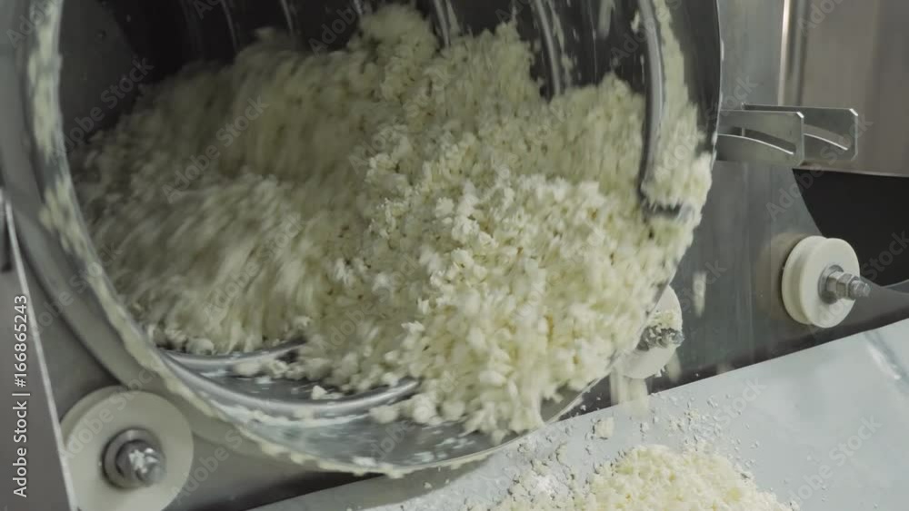 Cheese manufacturing process. From a spinning drum at a dairy factory ...