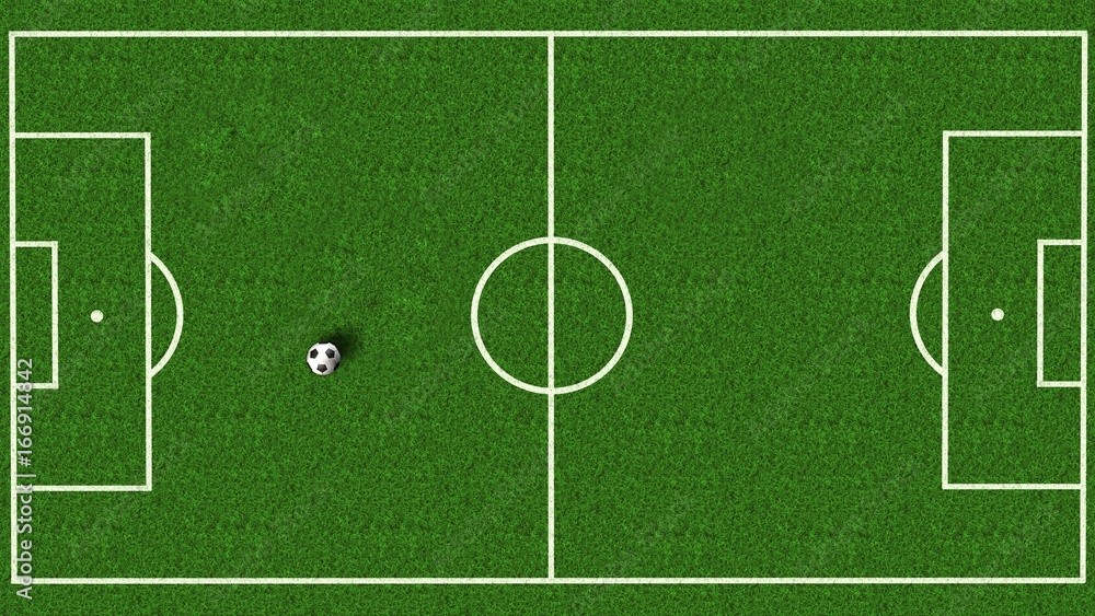soccer field / football field top view with green natural grass ...
