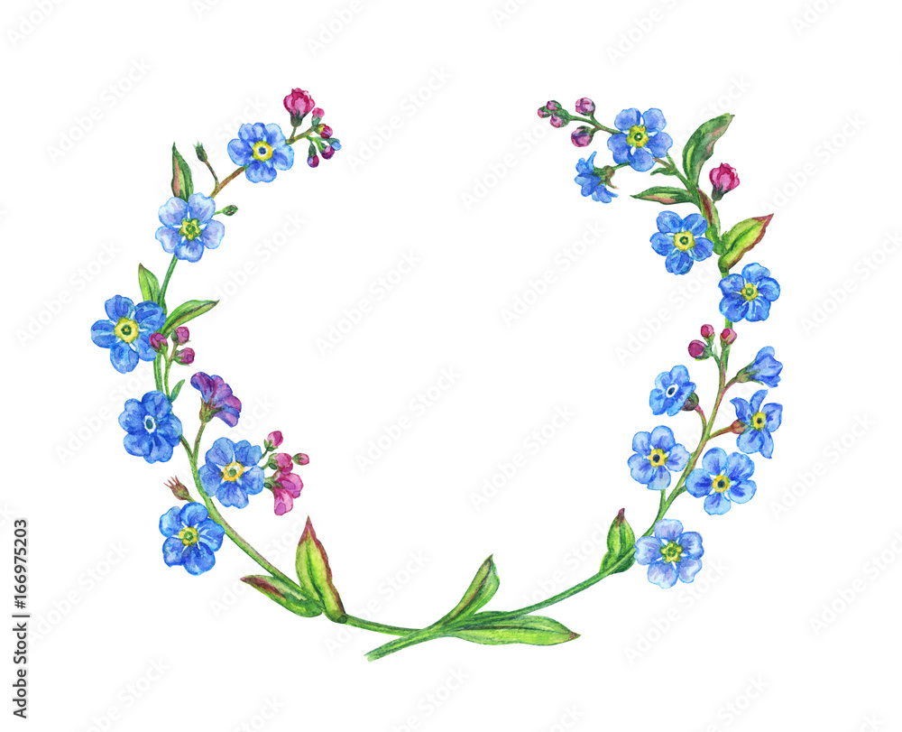Forget Me Nots Drawing