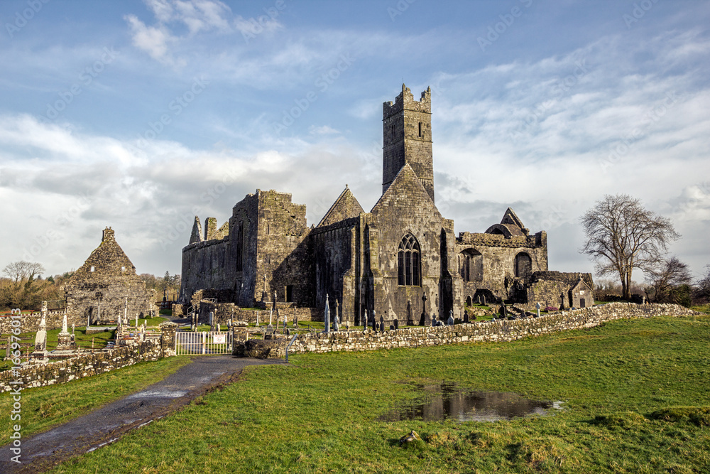 Quin Abbey, County Clare, Ireland Stock 写真 | Adobe Stock