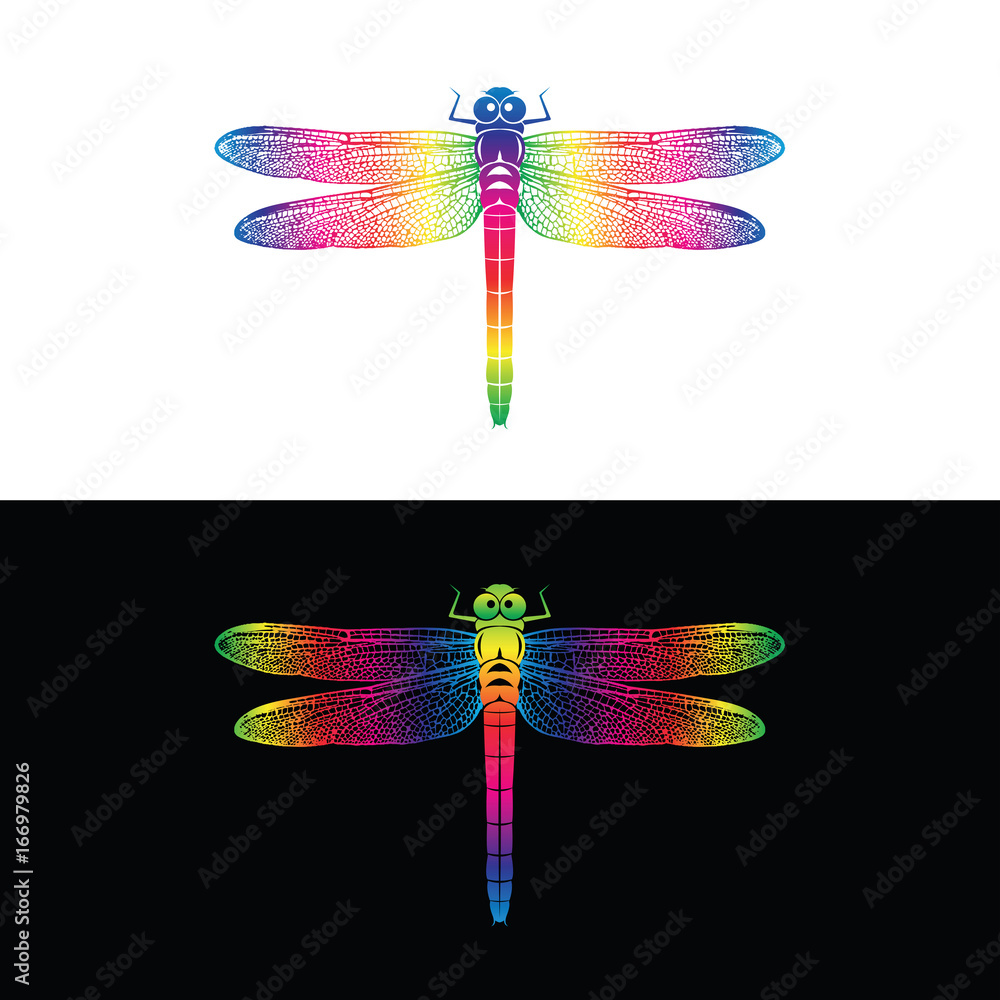 Vector of colorful dragonfly design on white background and on black ...
