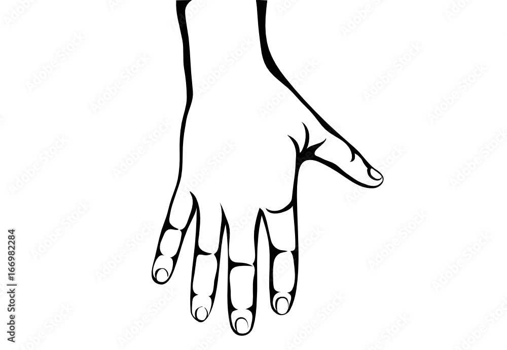 Back Hand Palm Vector
