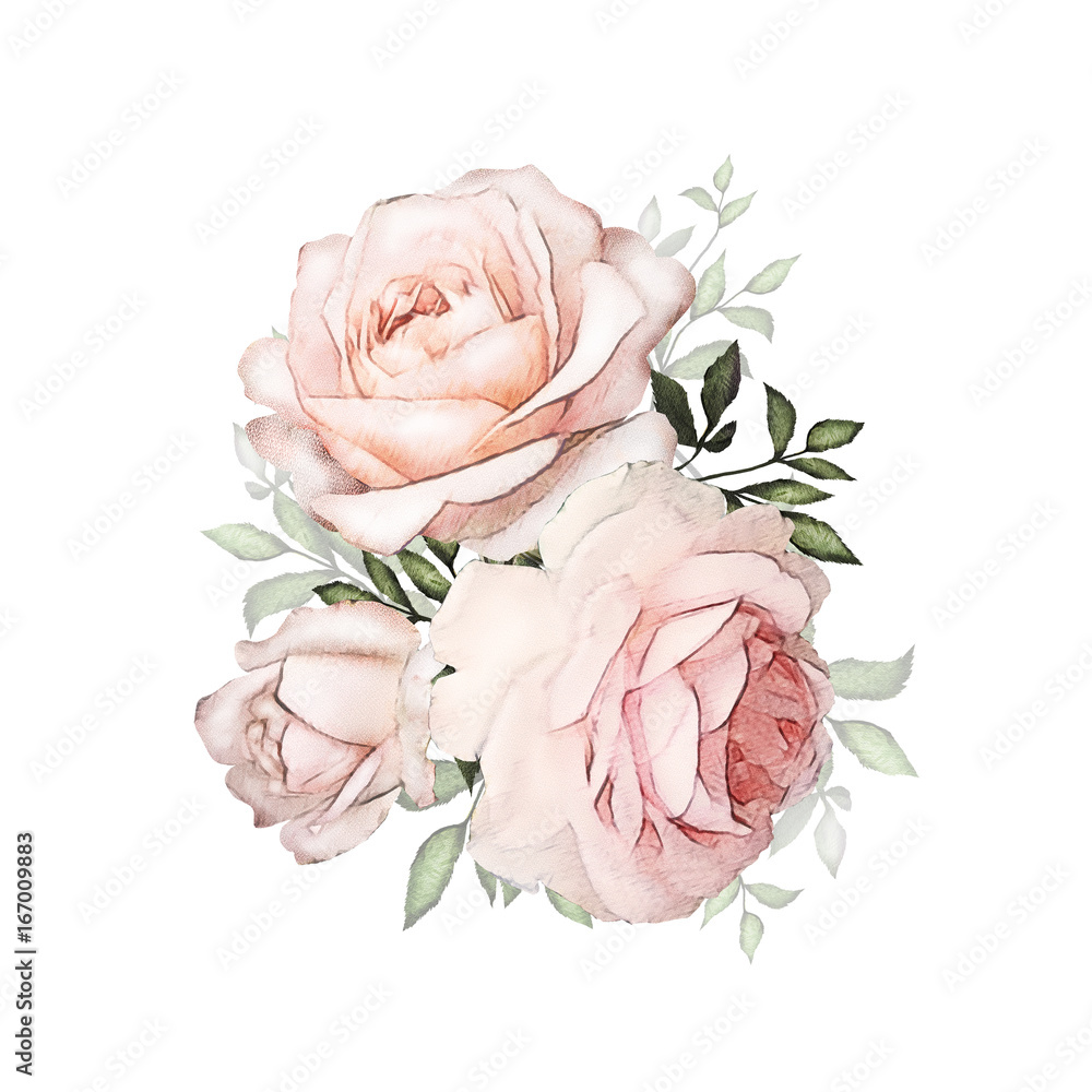 Cute Pink Rose Flowers