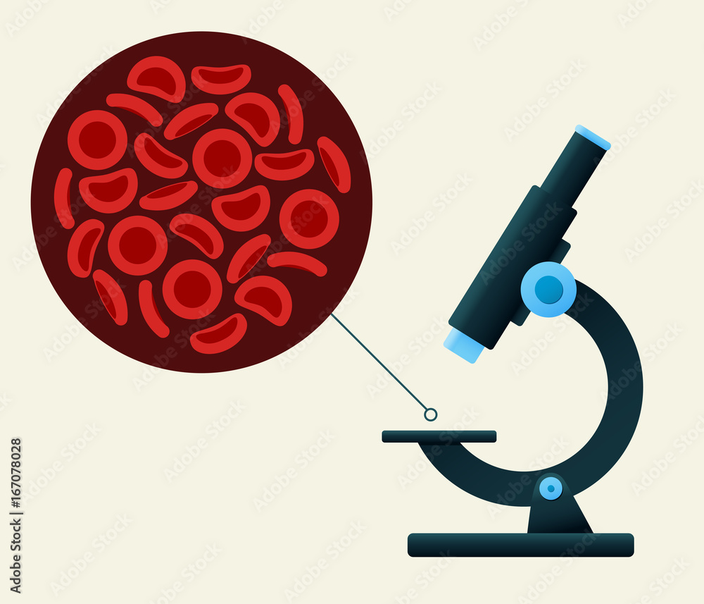Microscope viewing Red blood cells. Vector illustration. Medical ...
