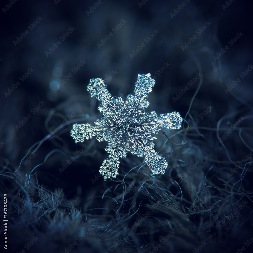 Real snowflake macro photo: large snow crystal with six simple ...