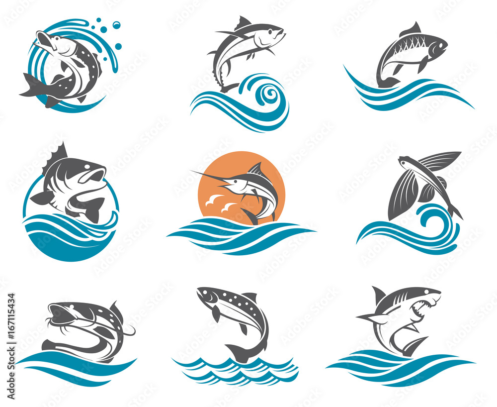 collection of different fish types with waves Stock Vector | Adobe Stock
