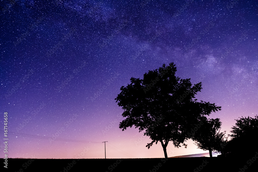 Poster Milky way and the stars over a tree – Wall Art | UkPosters