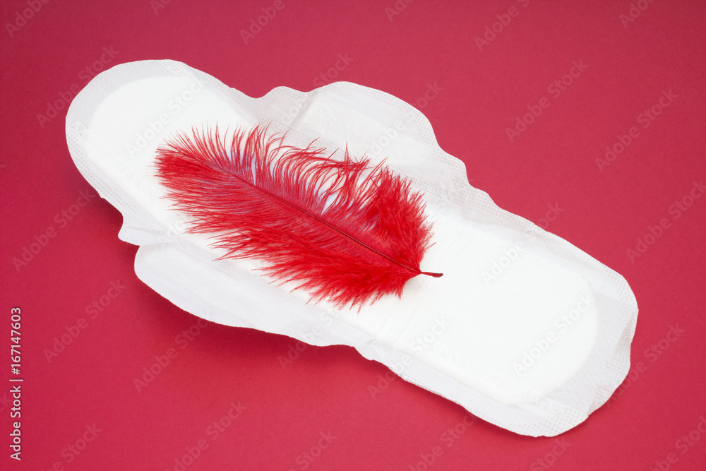 Red feather and menstrual woman pad for hygiene in blood period ...