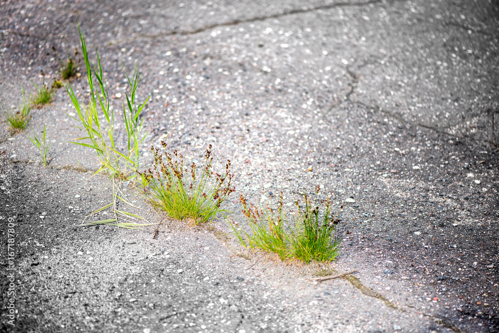 Impossible Nature Pictures