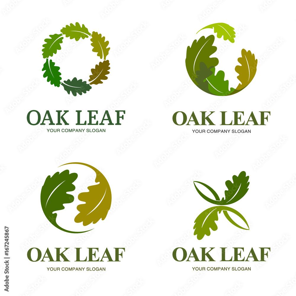 Oak leaf vector logo set. Logo template. Stock Vector | Adobe Stock