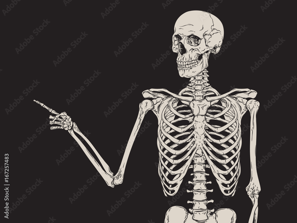 Human skeleton finger pointing isolated over black background vector ...