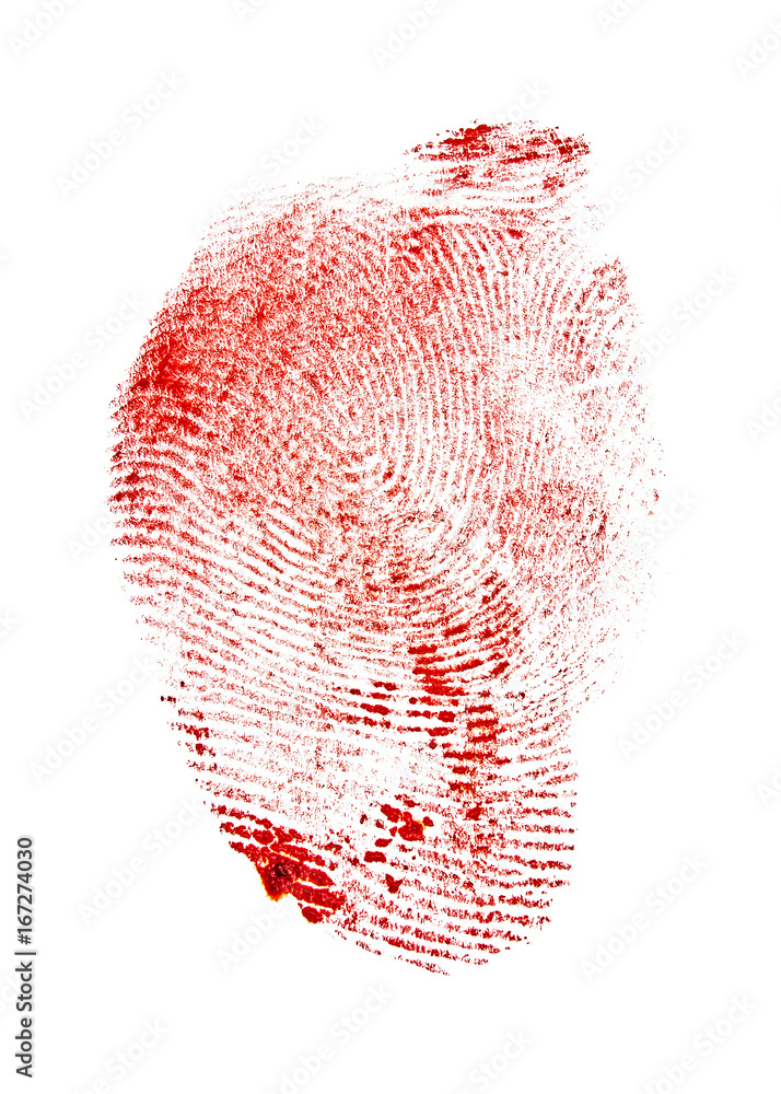 Red fingerprint on white background, macro Stock Photo | Adobe Stock