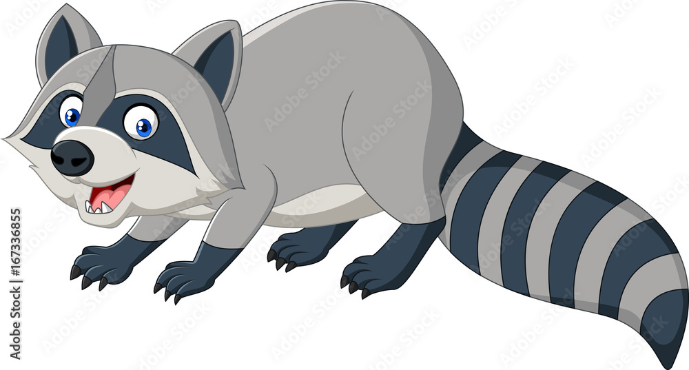 Cartoon funny raccoon isolated on white background Stock Vector | Adobe ...