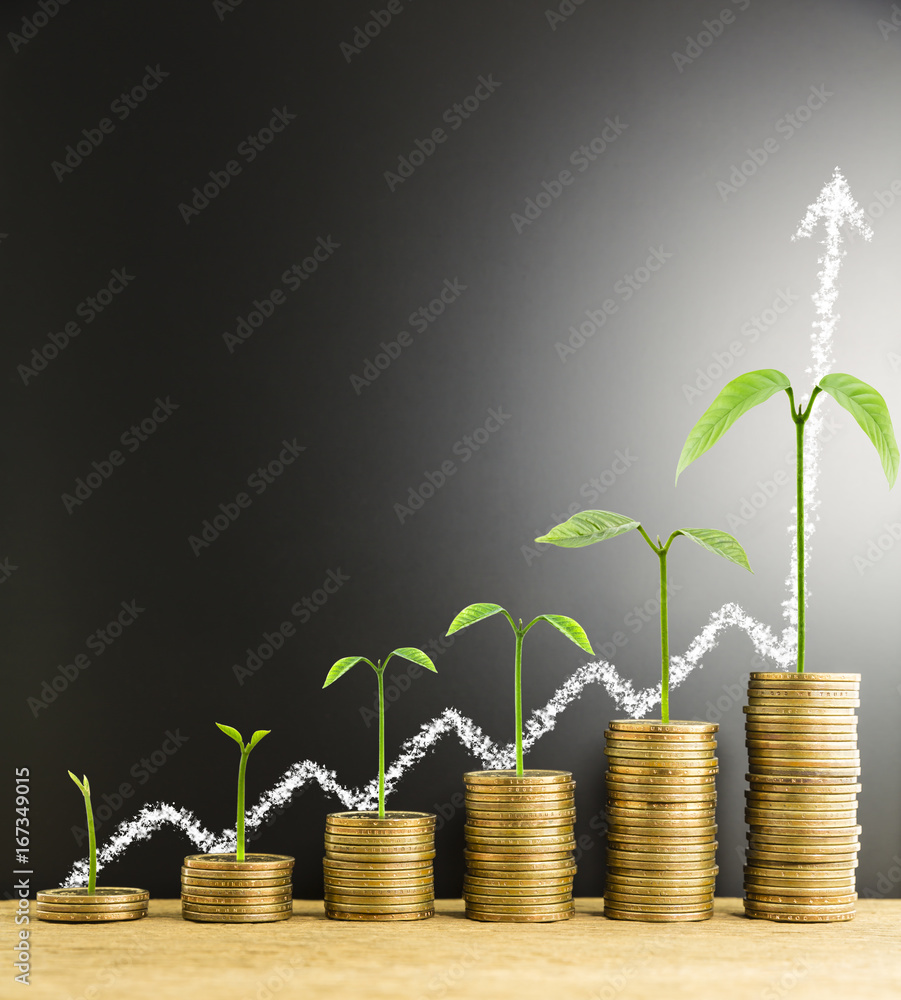 Money coin stack arranged as a graph on wood with tree growth and write ...