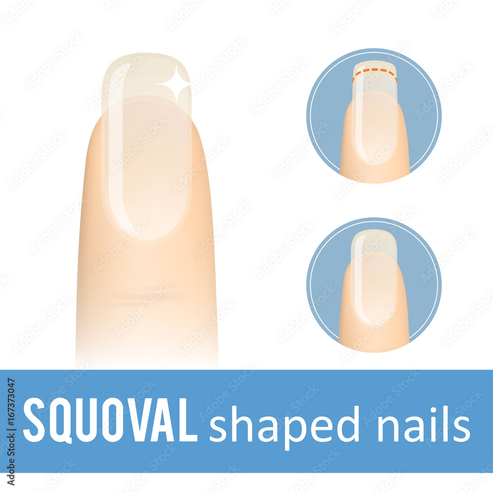 Nail manicure. How to make squoval nail shape. Vector Stock Vector ...