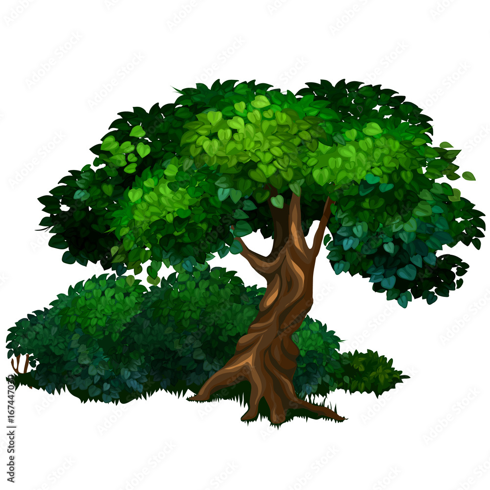Large detailed tree oak. Nature, forest, ecology concept. Vector ...