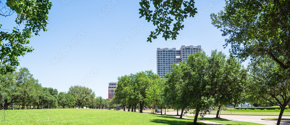 Green city park in midtown area of Houston at daytime during spring ...