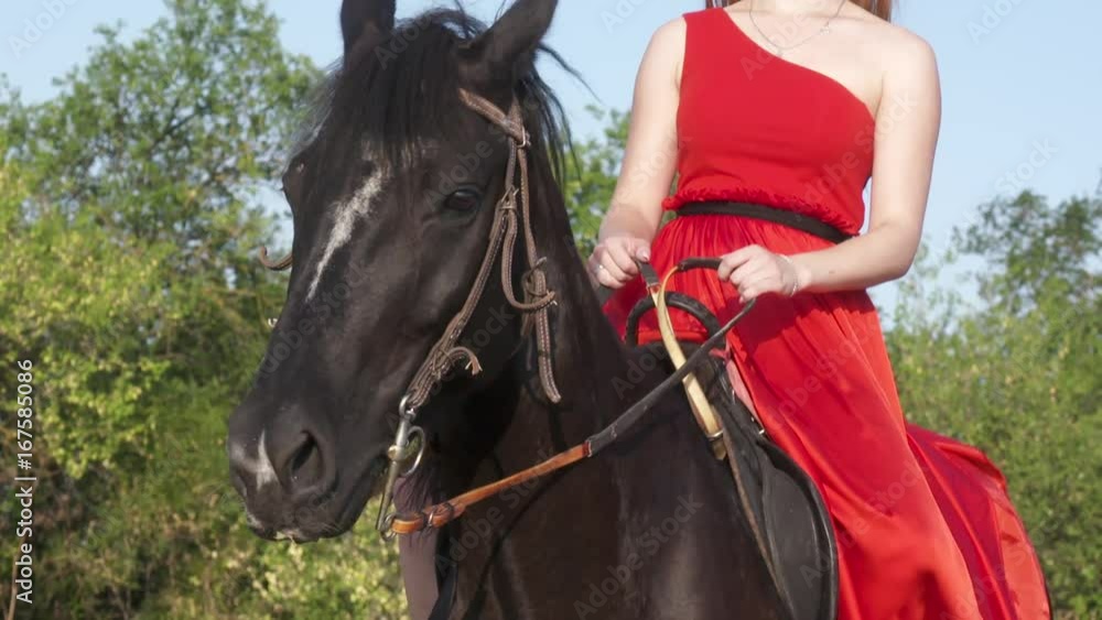 Young girl wearing long red dress riding black horse in countryside ...