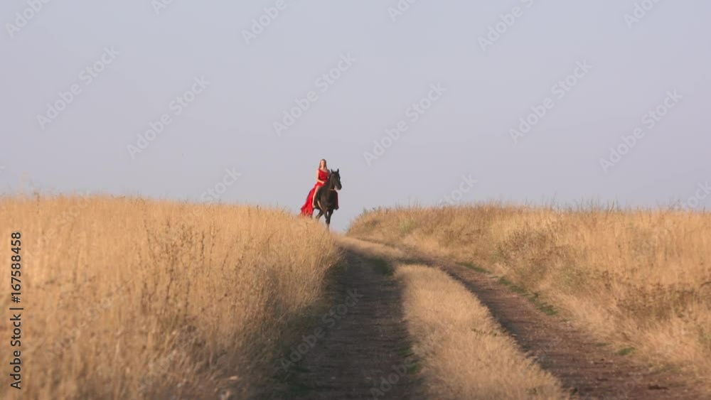 Young girl in long scarlet red dress riding black horse across dry ...