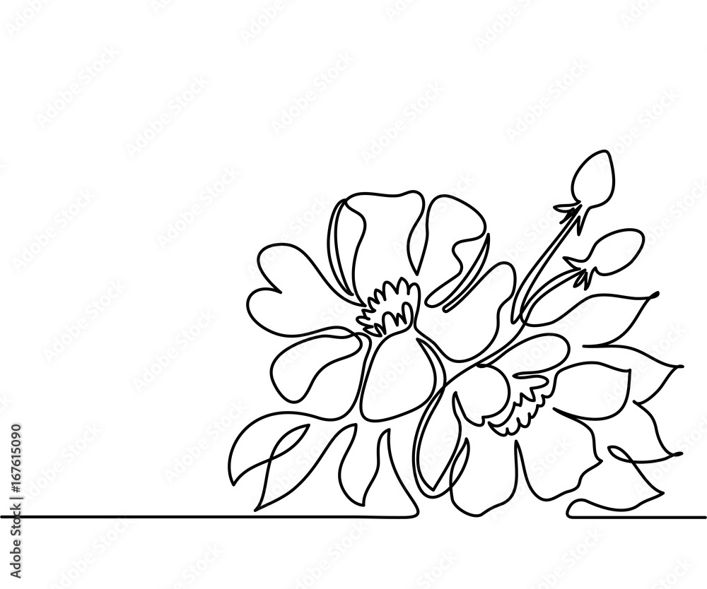 Beautiful flowers. Continuous line drawing. Vector illustration Stock ...
