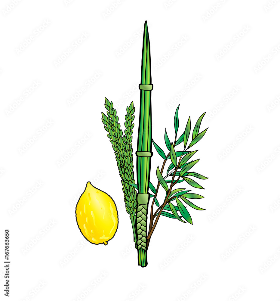 Sukkot Symbols