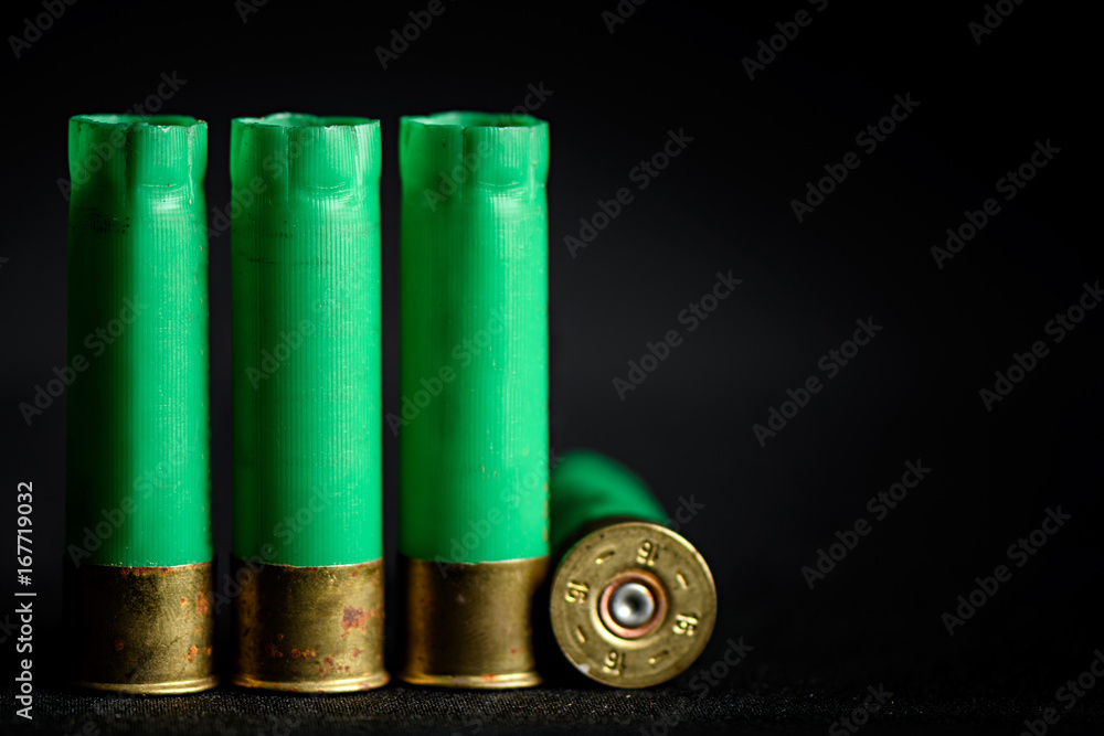 three standing and one lying under the sleeve of a cartridge for the ...