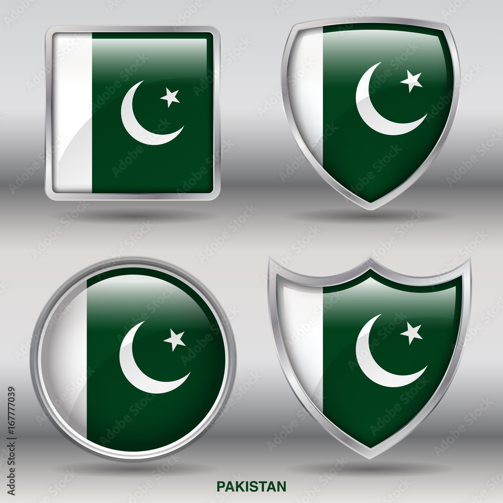 Flag of Pakistan in 4 shapes collection with clipping path Stock Vector ...