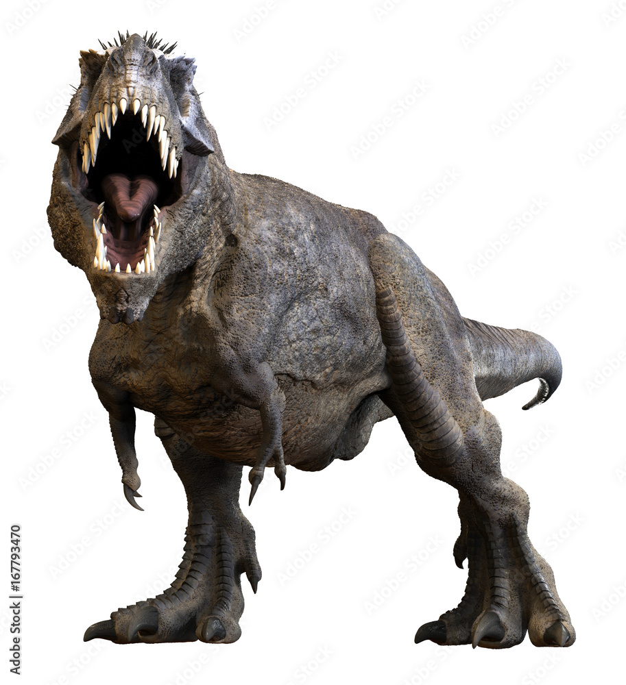 3D rendering of Tyrannosaurus Rex roaring, isolated on a white ...
