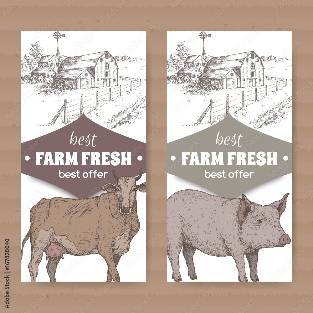 Two farm shop labels with farmhouse, barn, cow and pig on white. Stock ...