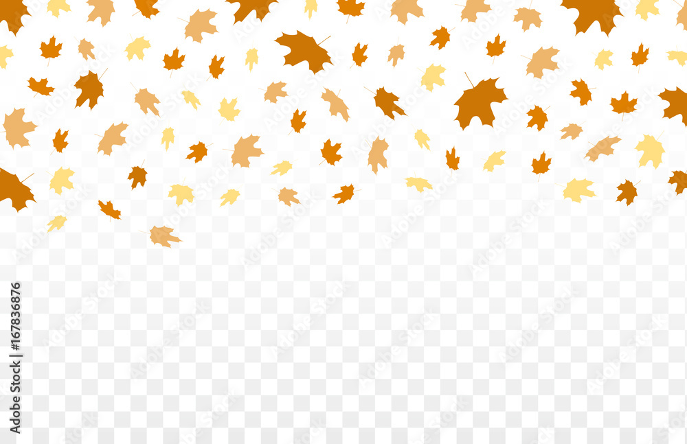 Autumn falling leaves pattern on transparent background. Vector ...