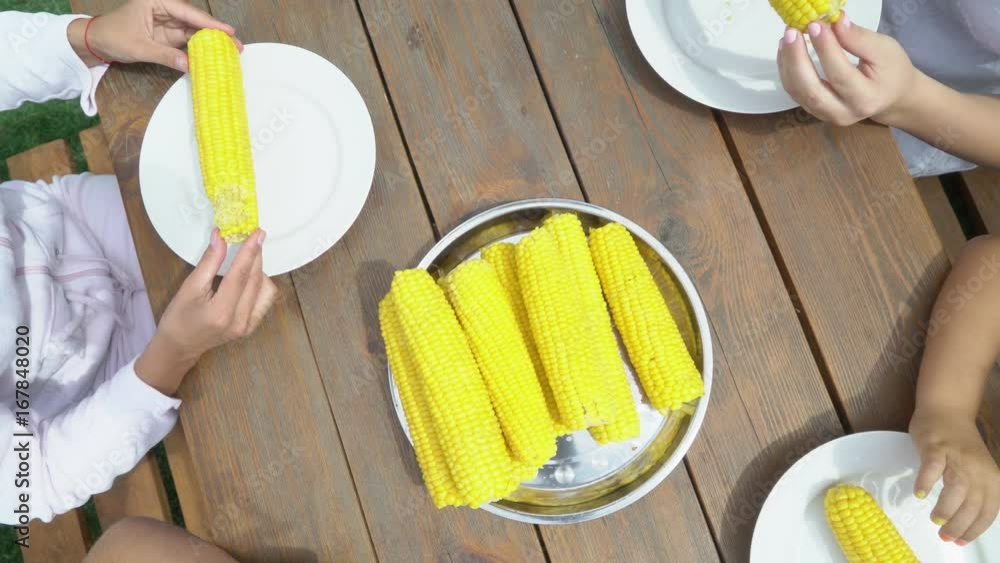 Family corn eating contest in the garden. Children have fun eats sweet ...