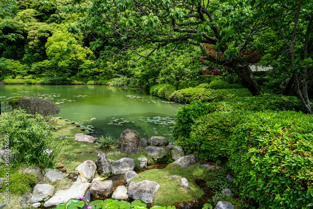 Japanese Garden Scenery