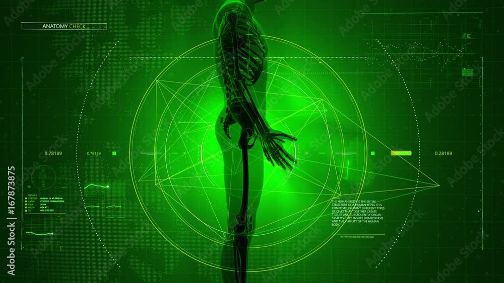 Digitally generated background of human body medical scan with data ...