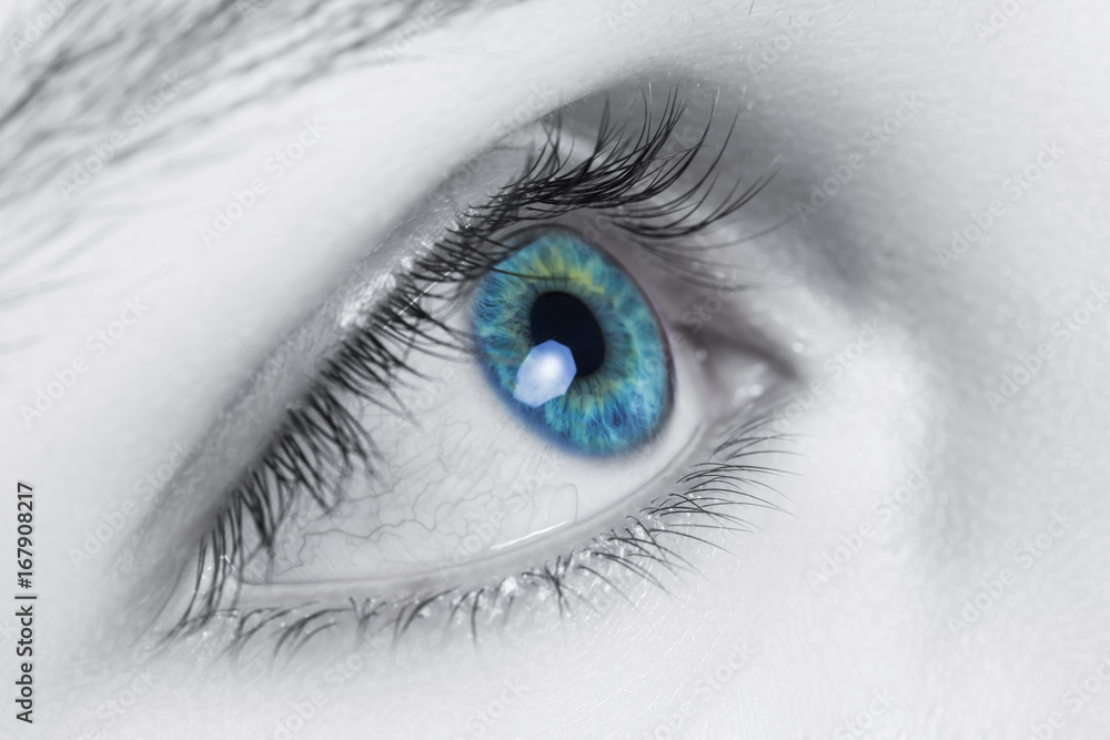 Blue Eye Stock Photo | Adobe Stock