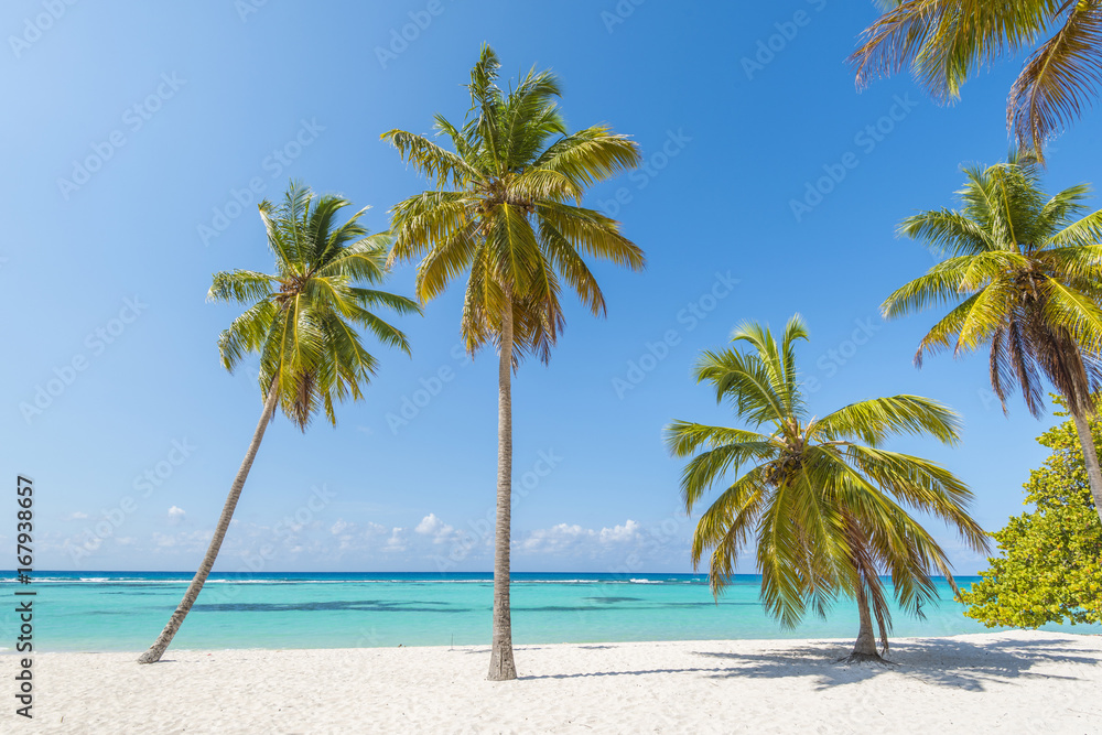 Parque Nacional Del Este