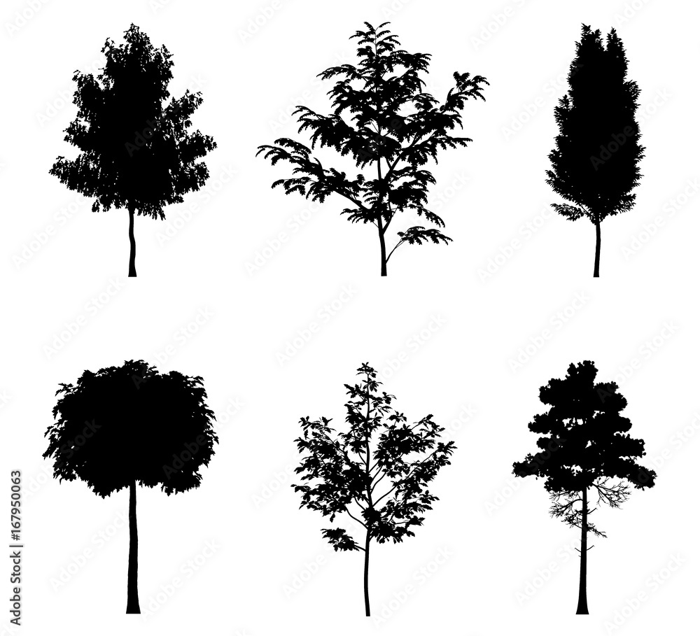 Vector illustration of tree silhouettes for architectural compositions ...