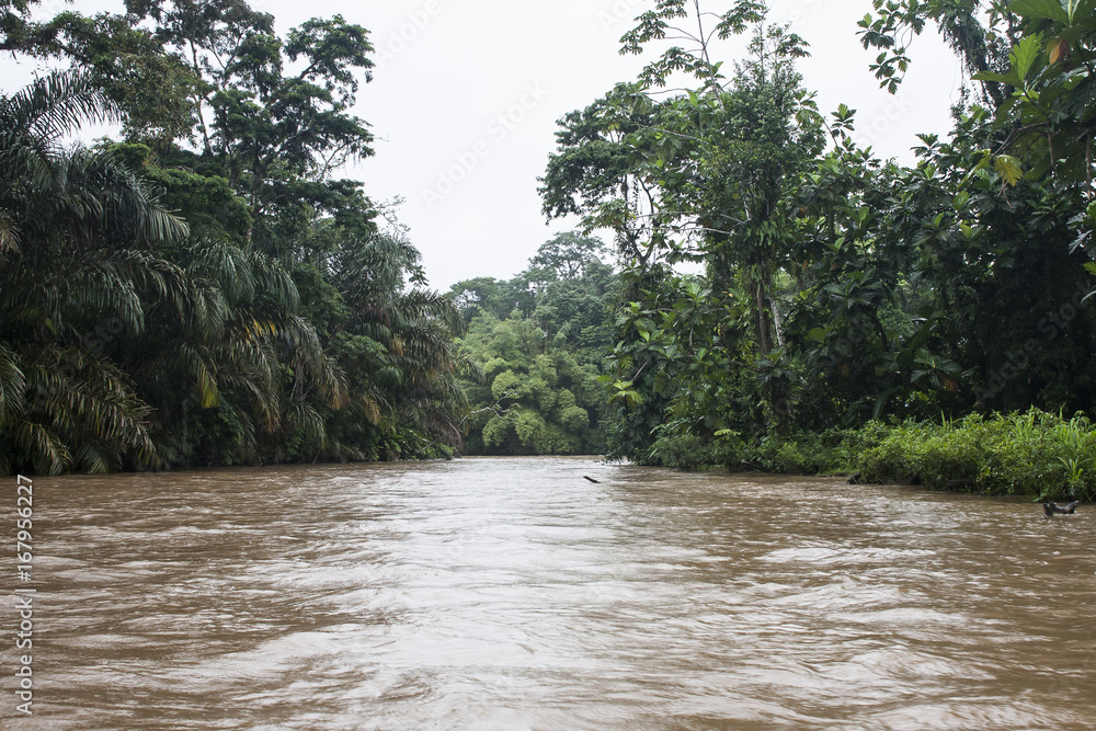 River through the rainforest during a rain storm, Tortuguero, Costa ...