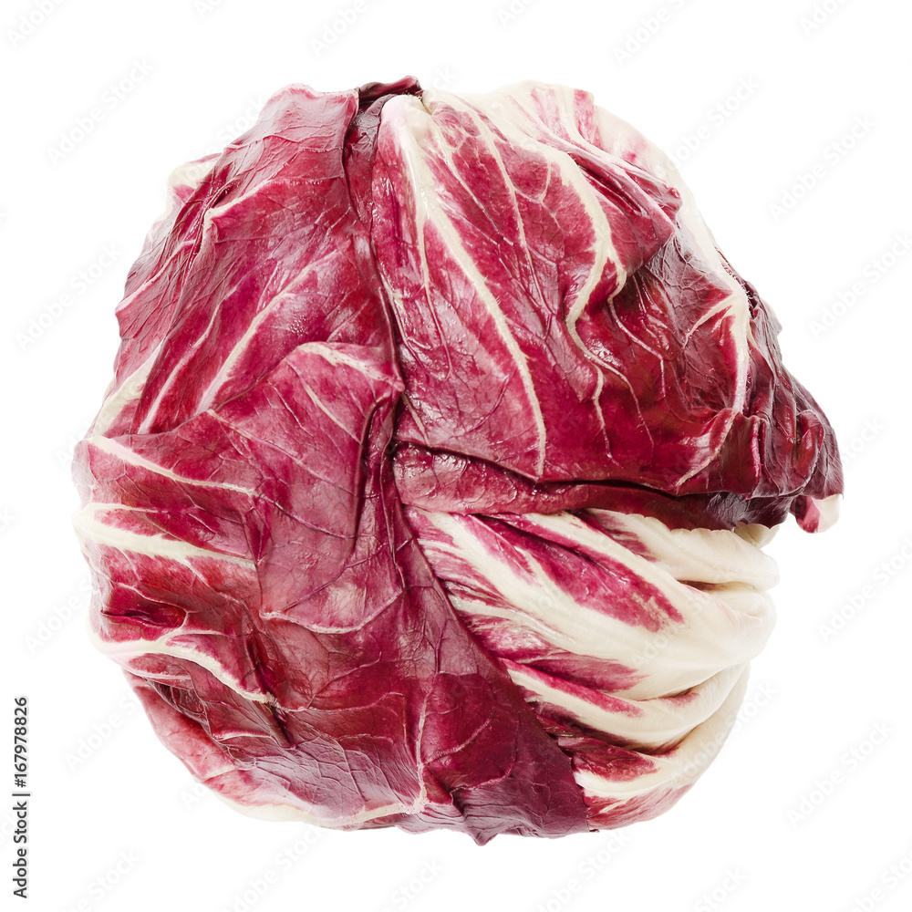 Radicchio Leaf