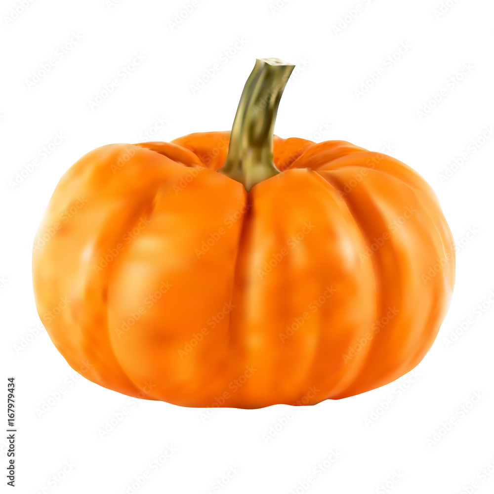 Realistic vector pumpkin isolated on transparency grid background Stock ...